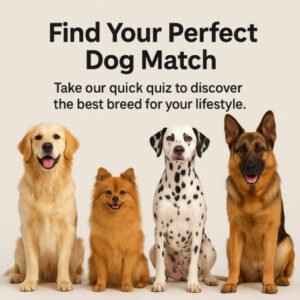 Dog Breed Quiz UK – Find the Perfect Dog